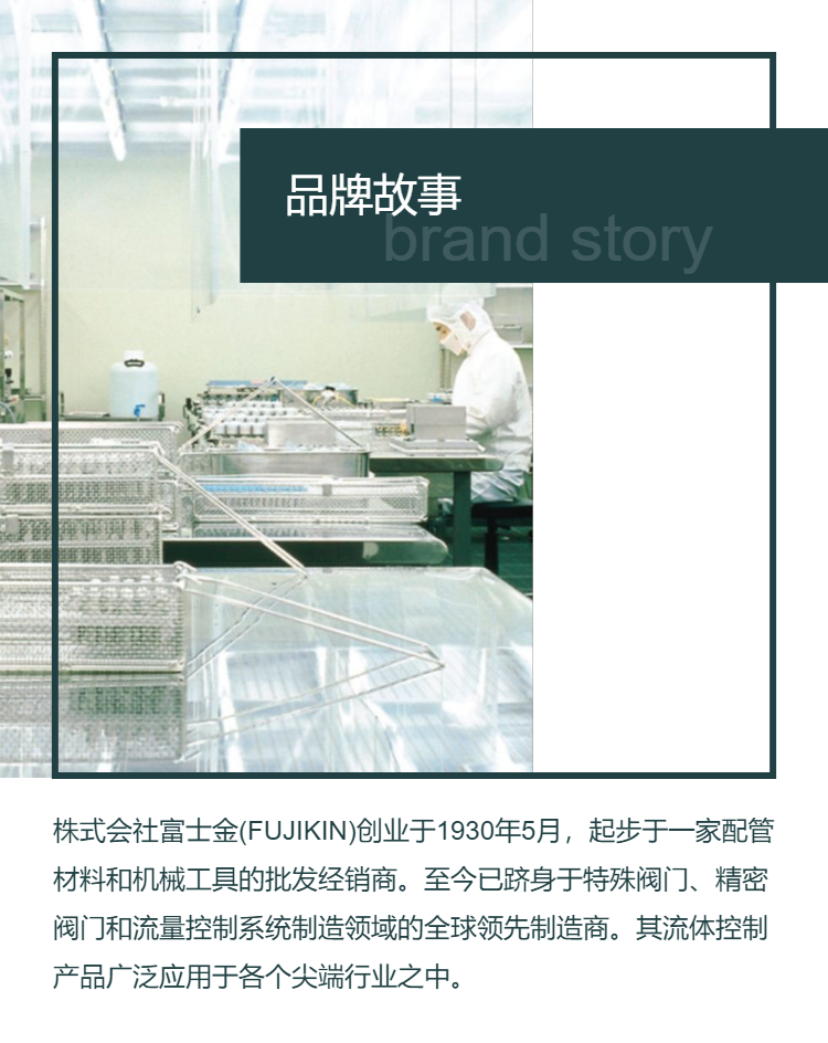 FUJIKIN富士金过滤器FUFL-715-6.35-10高纯气高精度VCR金属密封