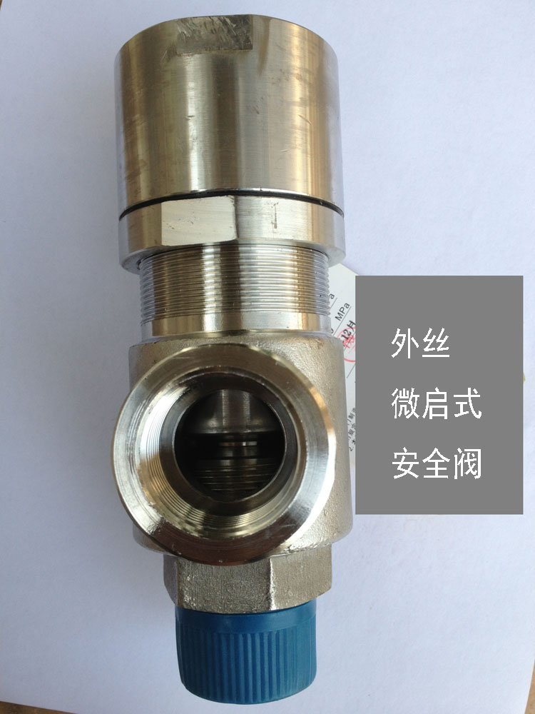 安全阀A21W-16P A21F-40P弹簧微启式外螺纹泄压安全阀4分A21H-16C