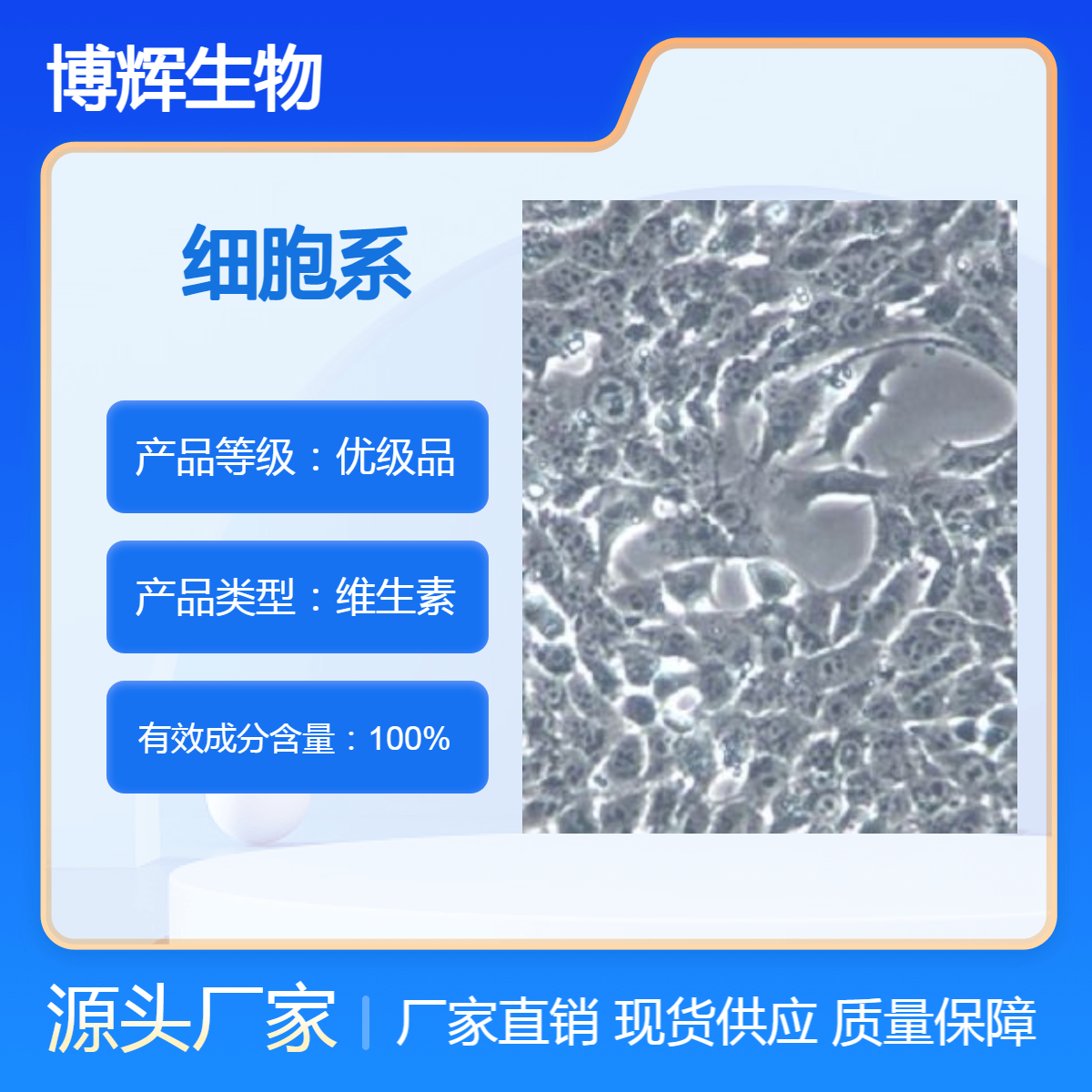 4T1小鼠乳腺癌细胞建立肿瘤模型提供STR鉴定报告ATCC细胞库来源 - 百度爱采购
