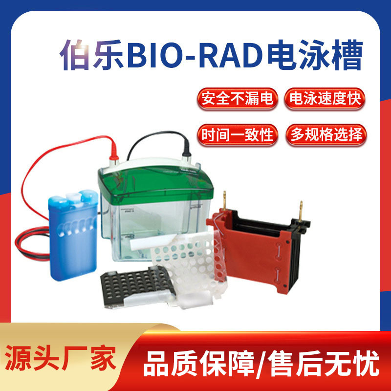 美国伯乐BIO-RAD电泳槽电泳仪垂直转印槽蛋白槽一级代理正品